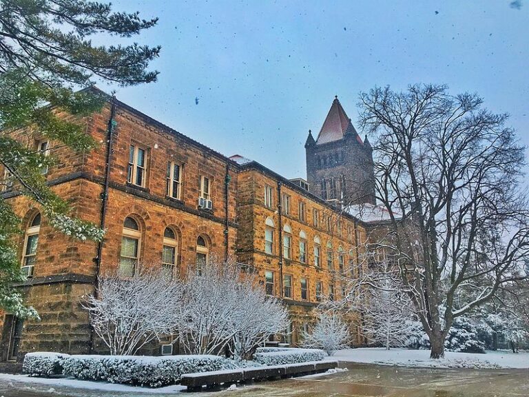 The Best Indoor Activities in Champaign | Burnham 310